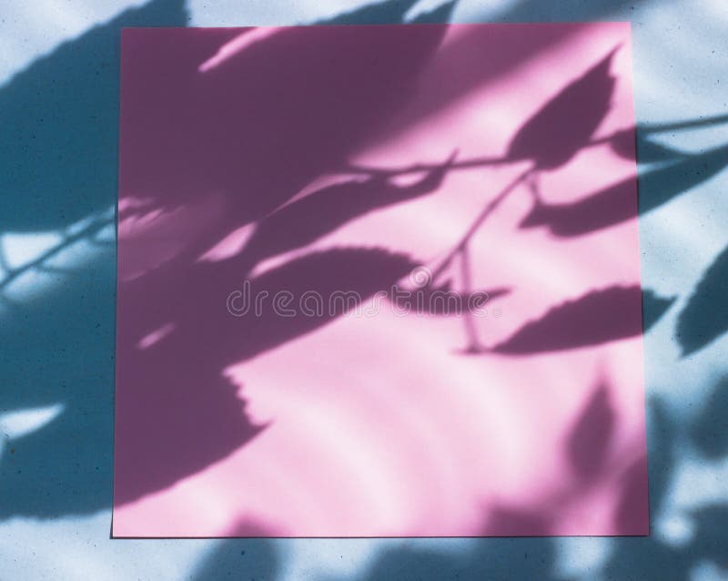 Pink Empty Card, Sheet for Writing. Layout for Adding Labels. Natural ...