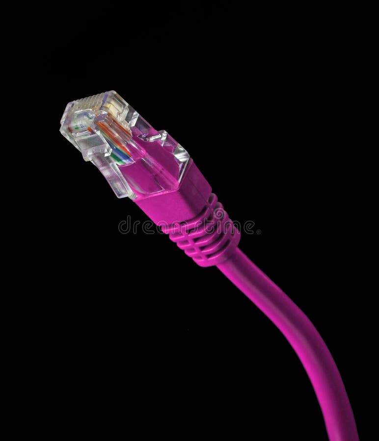 Pink Ethernet Cable stock photo. Image of switch, ethernet - 235627158