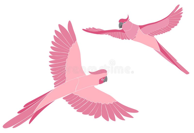 Pink Exotic Parrots in Flight. Stock Vector - Illustration of tropical ...