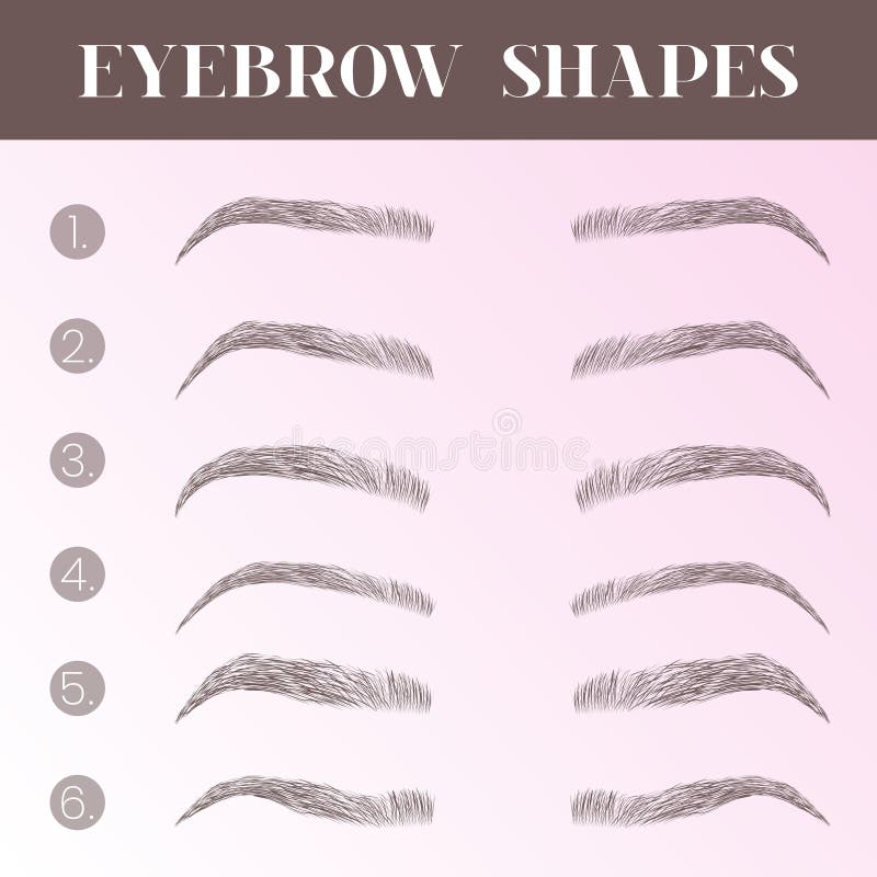 Pink Eyebrow Shapes Types Illustration Chart Stock Vector ...