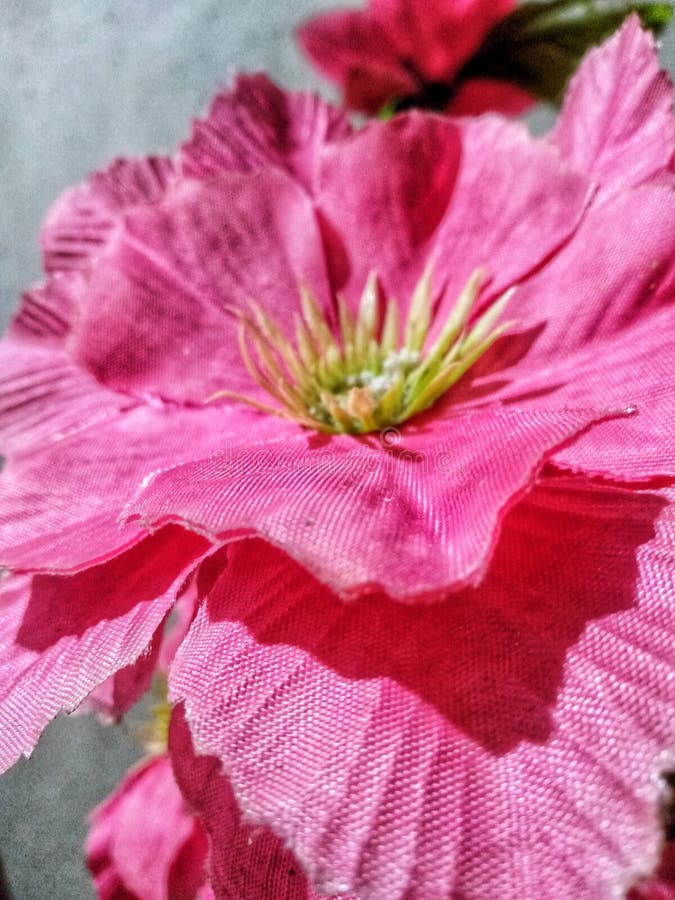 Pink Fake Ornamental Flowers Stock Photo - Image of fake, flowers ...