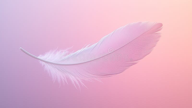 Pink Feather Against a Soft Gradient Background Featuring White Fine ...
