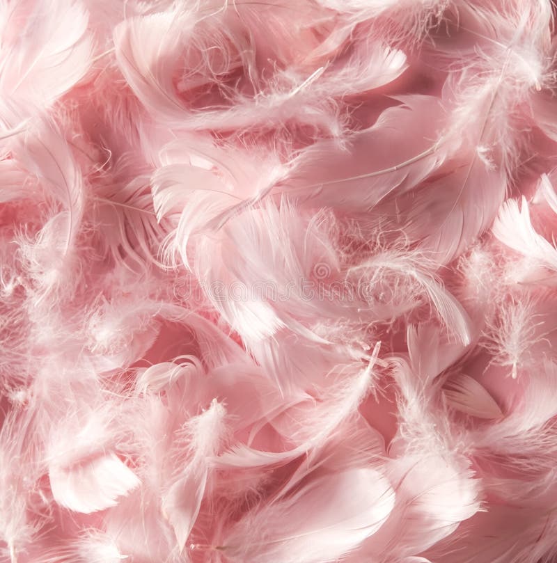 Pink feather background stock photo. Image of light, pattern - 60154452