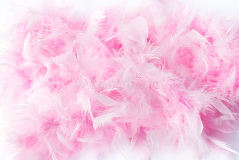 3,938 Feather Boa Ticking Stock Photos - Free & Royalty-Free Stock ...