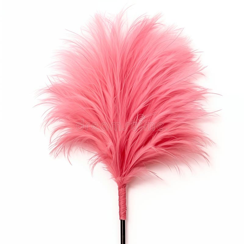 Pink Feather Duster with Fluffy Feathers Isolated on a White Background ...