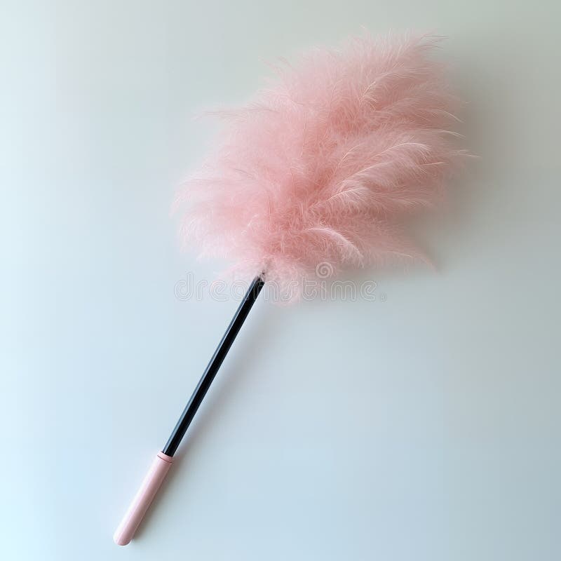 Pink Feather Duster on a White Background Stock Illustration ...