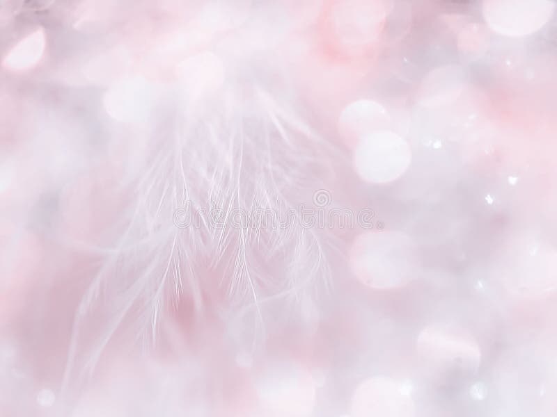 Pink Feather Pattern Texture Background with Bokeh Stock Photo - Image ...