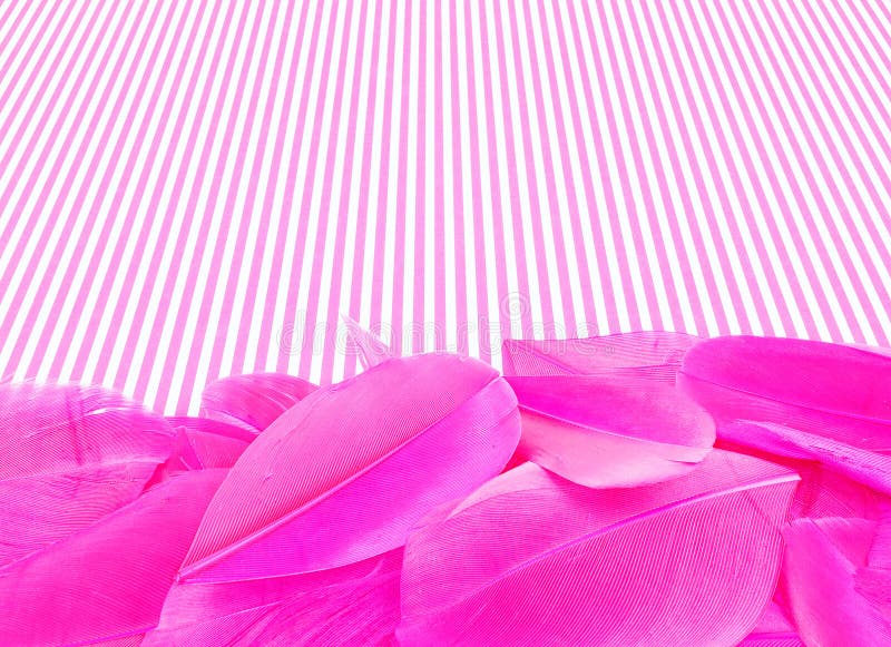 Pink Feathers on a Pink and White Striped Surface. Stock Image - Image ...
