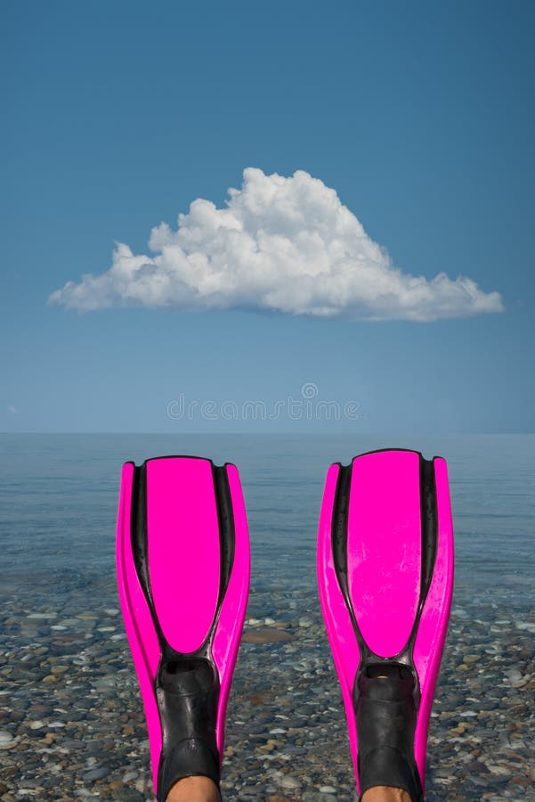 347 Pink Flippers Stock Photos - Free & Royalty-Free Stock Photos from ...