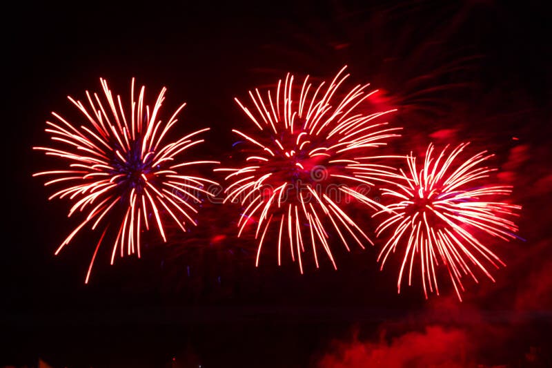 Pink Firework Sparks Bright on Black Night Sky. Stock Image - Image of ...