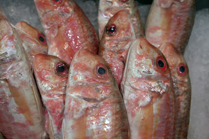 Pink fish stock image. Image of industry, food, tasty - 34959741