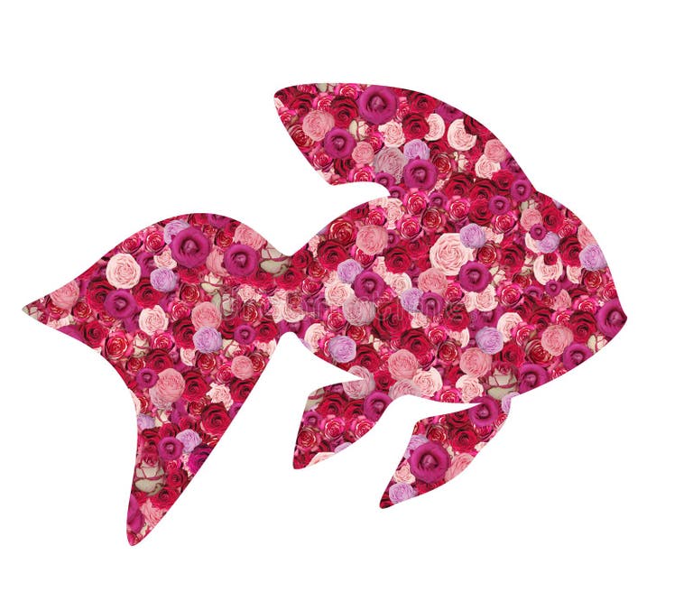 Pink fish from roses stock photo. Image of white, design - 214399700
