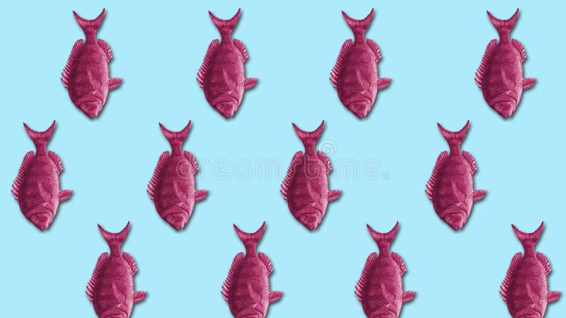 Pink Fish Surreal Motion Illustration. Psychedelic Pattern. Stock ...