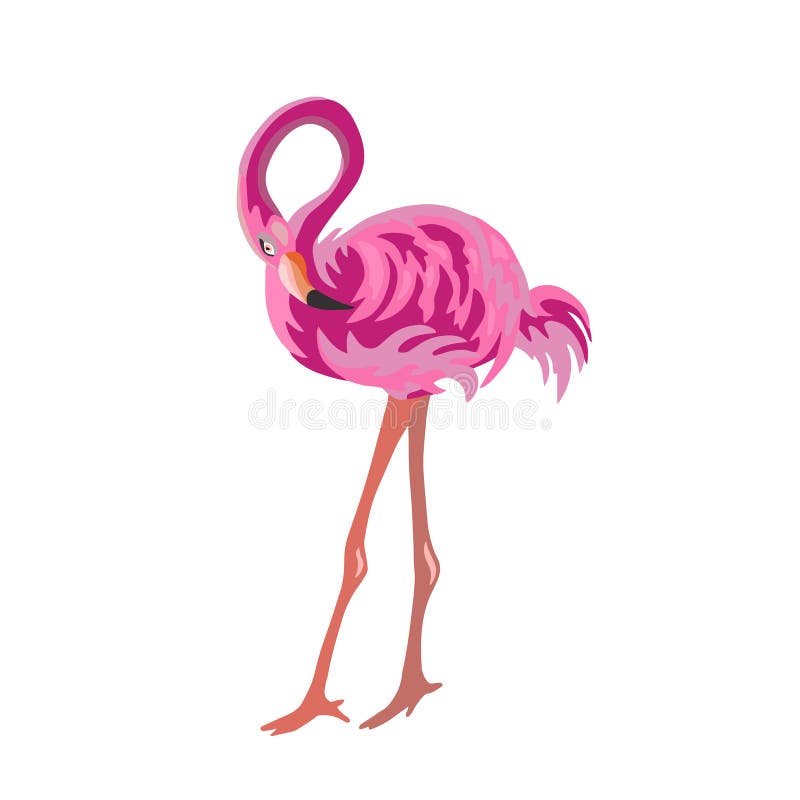 Pink Flamingo. Flat. Vector Illustration Stock Vector - Illustration of ...