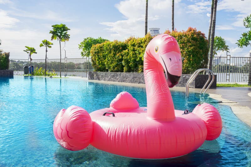 Pink Flamingo Float on Swimming Pool Stock Image - Image of colorful ...