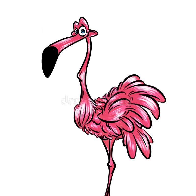 Cartoon Pink Flamingo Running Stock Vector - Illustration of vector ...
