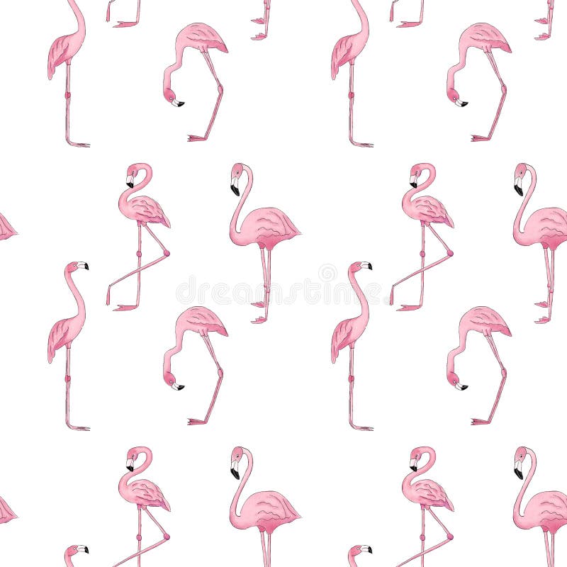 Pink Flamingo Pattern Seamless Pattern Watercolor Hand Drawing Stock ...