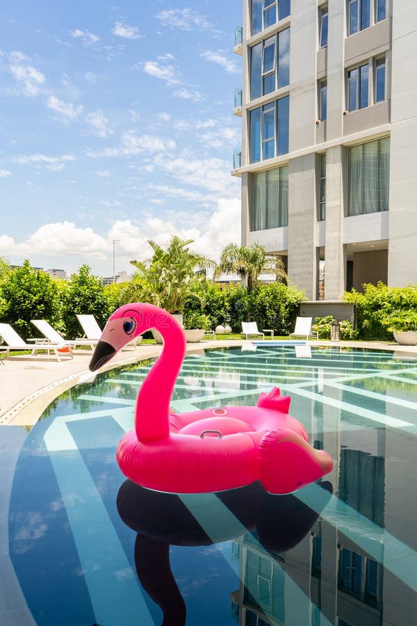 A Pink Flamingo Pool Float is Floating in a Pool. Vertical Shot Stock ...