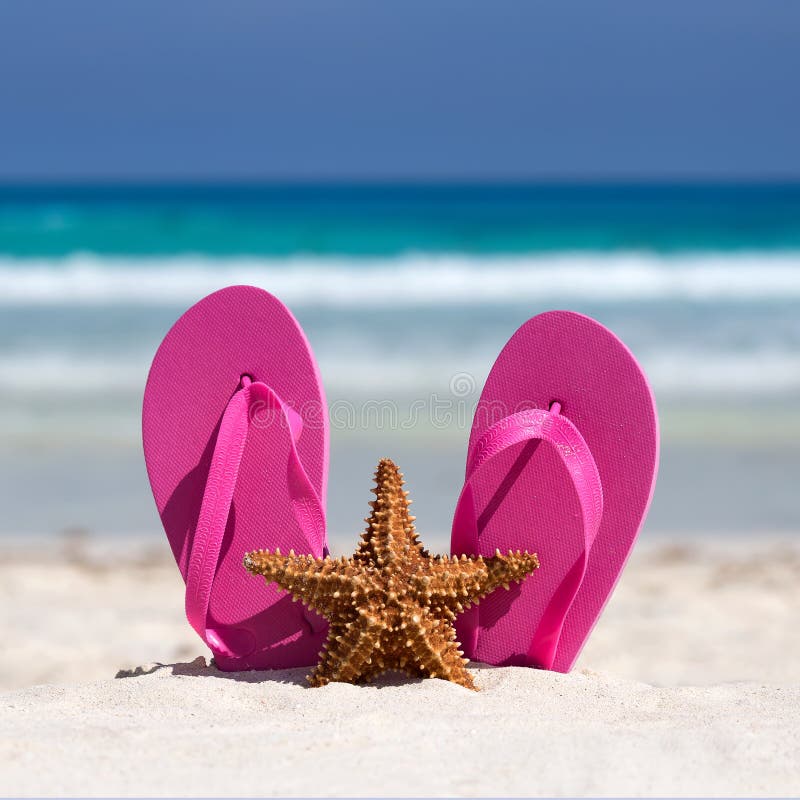 Pink Flip Flops and Starfish on White Sandy Beach Stock Image - Image ...