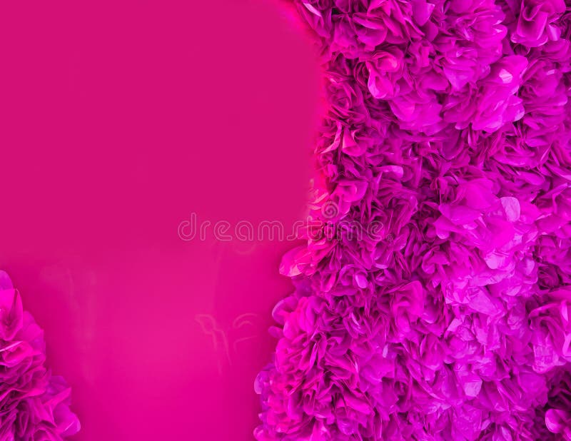 Pink Floral Assorted Pink Flower Border on Background Stock Photo ...