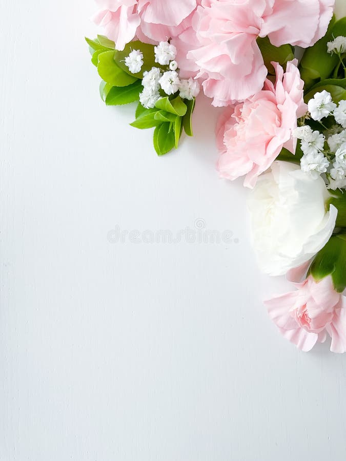 Pink Floral. Assorted Pink Flowers Border on White Stock Image - Image ...