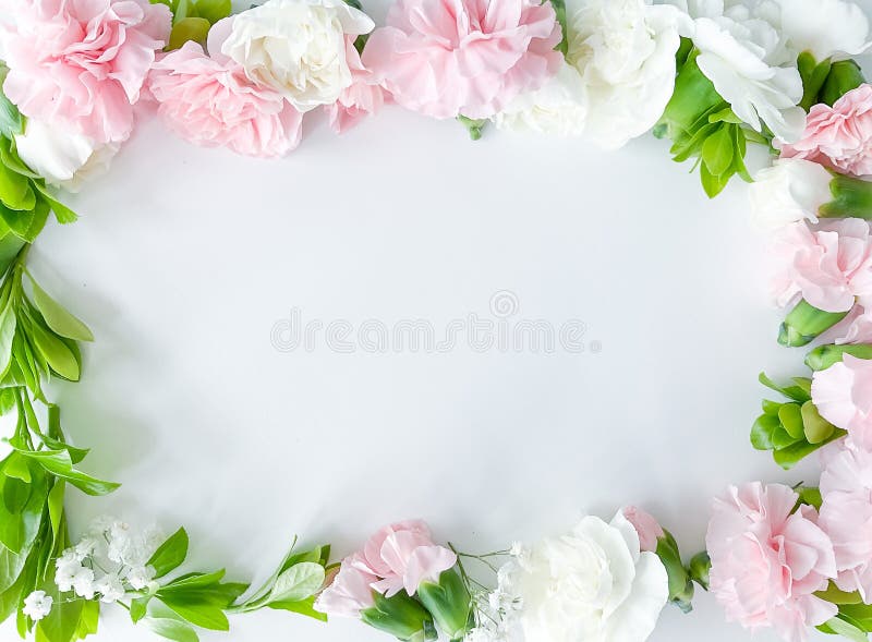 Pink Floral. Assorted Pink Flowers Border on White Stock Photo - Image ...