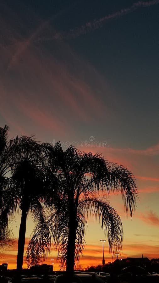 Pink Florida Sunset from Dysney Parking Lot Stock Image - Image of pink ...