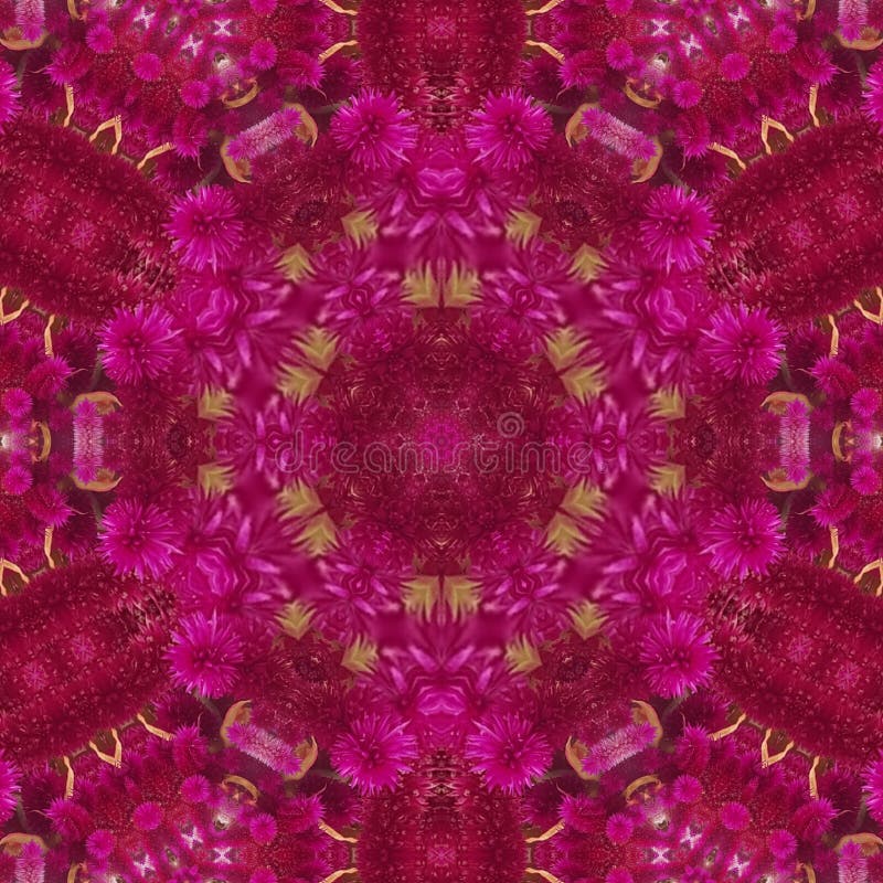 Pink Flower Caleidoscope. Beautiful and Amazing Forms Stock ...