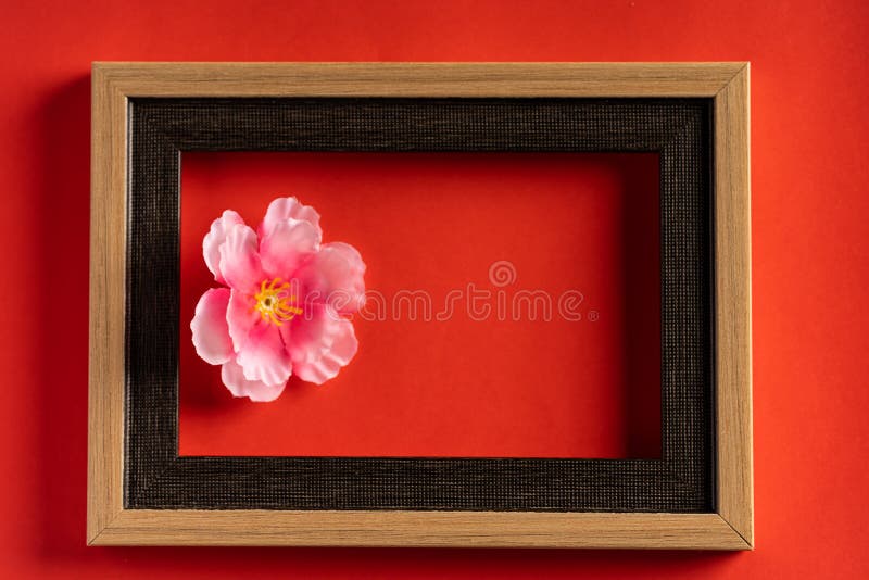 Pink Flower and and Empty Frame Stock Photo - Image of garden ...