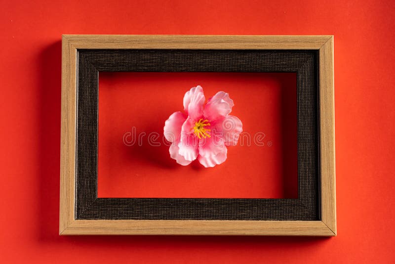 Pink Flower and and Empty Frame Stock Photo - Image of flat, foliage ...