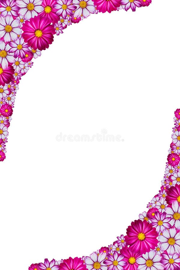 Pink flower frame stock illustration. Illustration of isolated - 12188904