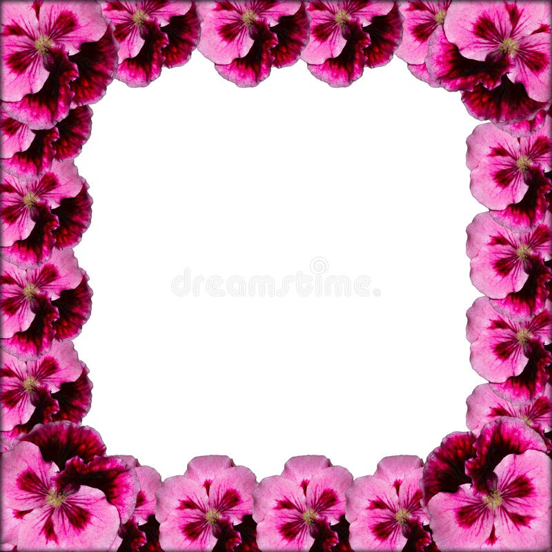 Pink flower frame stock illustration. Illustration of flower - 39252066