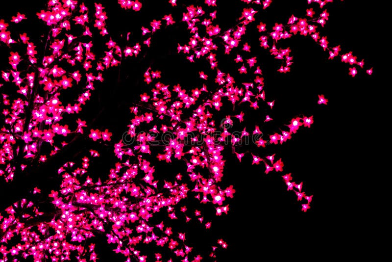 Pink Flower Light on the Tree in the Night Stock Image - Image of city ...