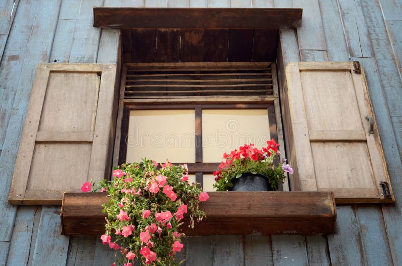 Pink Flower in Pot on Open Window Stock Photo - Image of lifestyle ...
