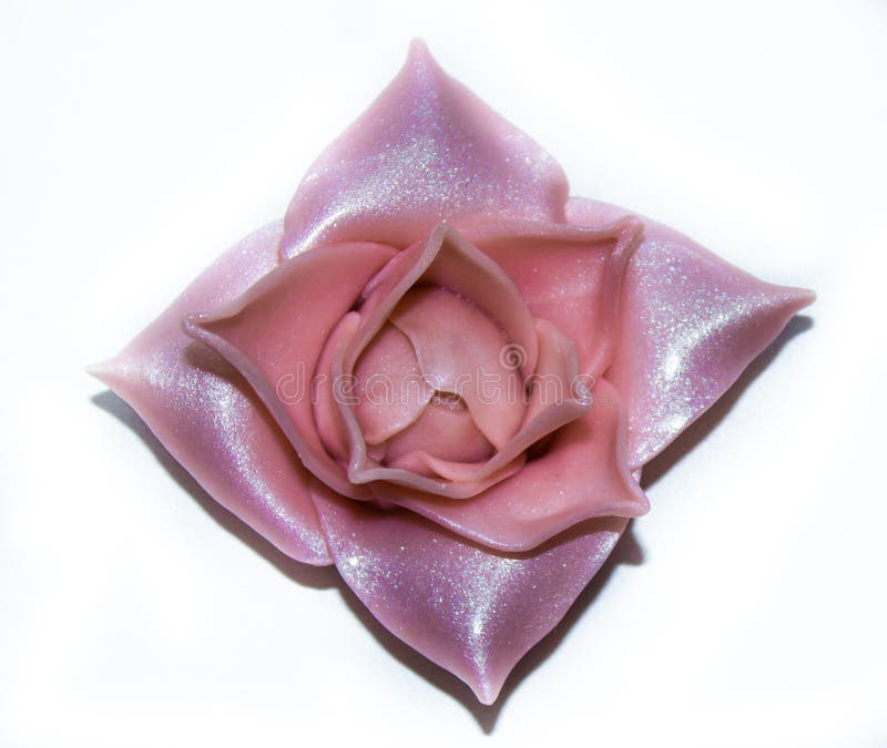 Pink Flower with Sharp Leaves Stock Image - Image of floral, single ...