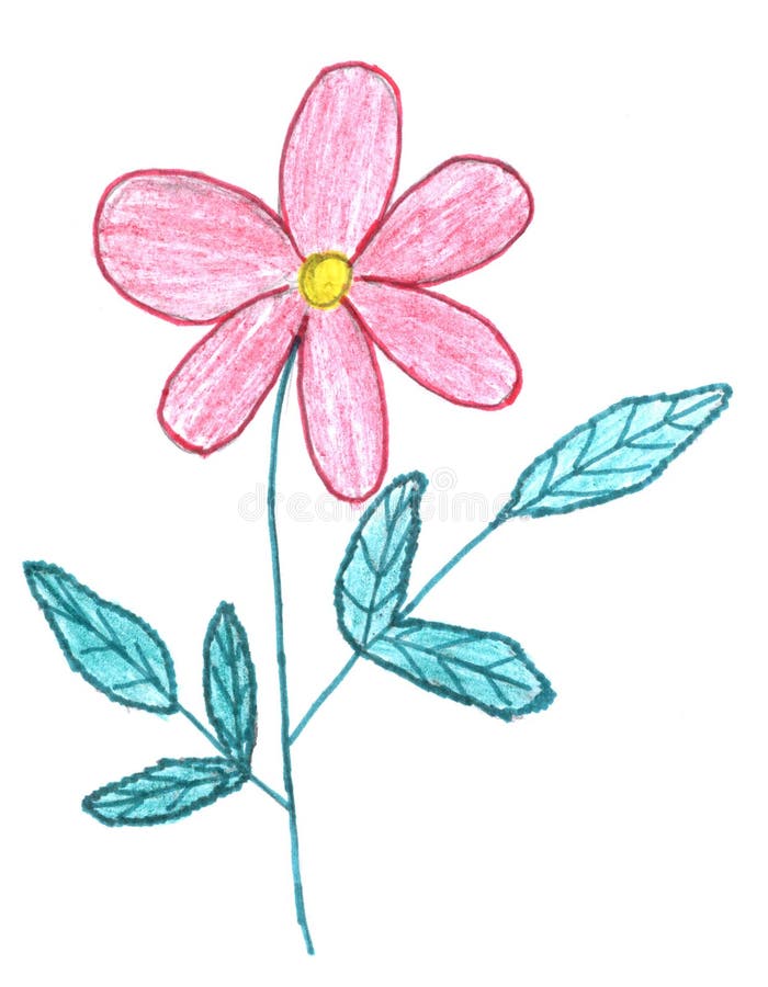 Pink flower sketch stock illustration. Illustration of drawing - 12990583
