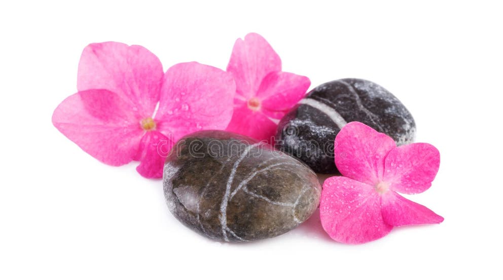 Pink flower Spa stones stock photo. Image of relaxation - 76737858