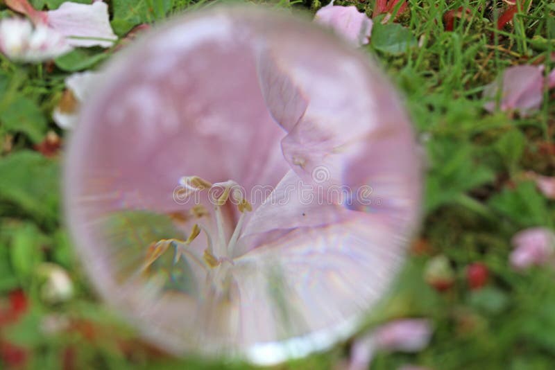 Sphererical Lens Stock Photos - Free & Royalty-Free Stock Photos from ...