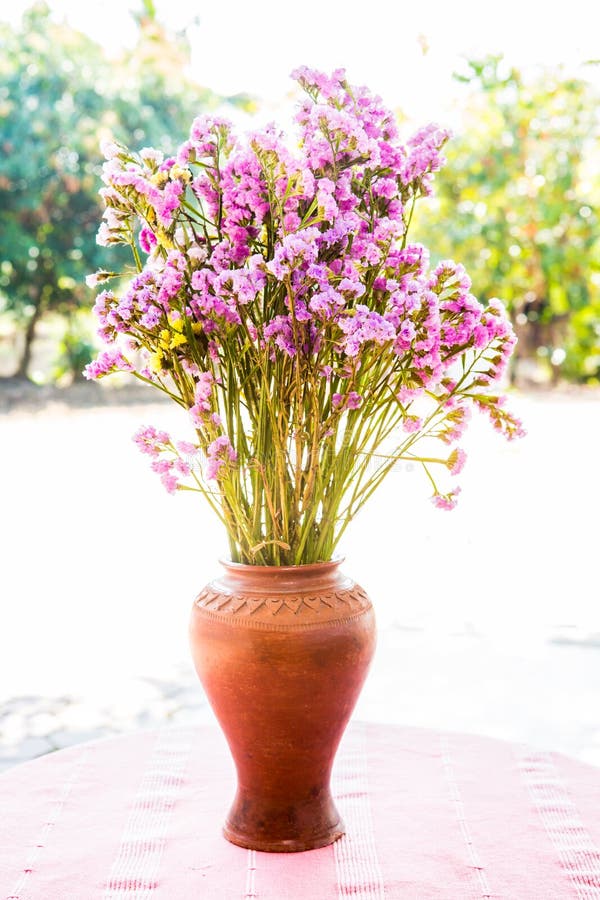 Pink flower in vase stock photo. Image of floral, garden - 65826530