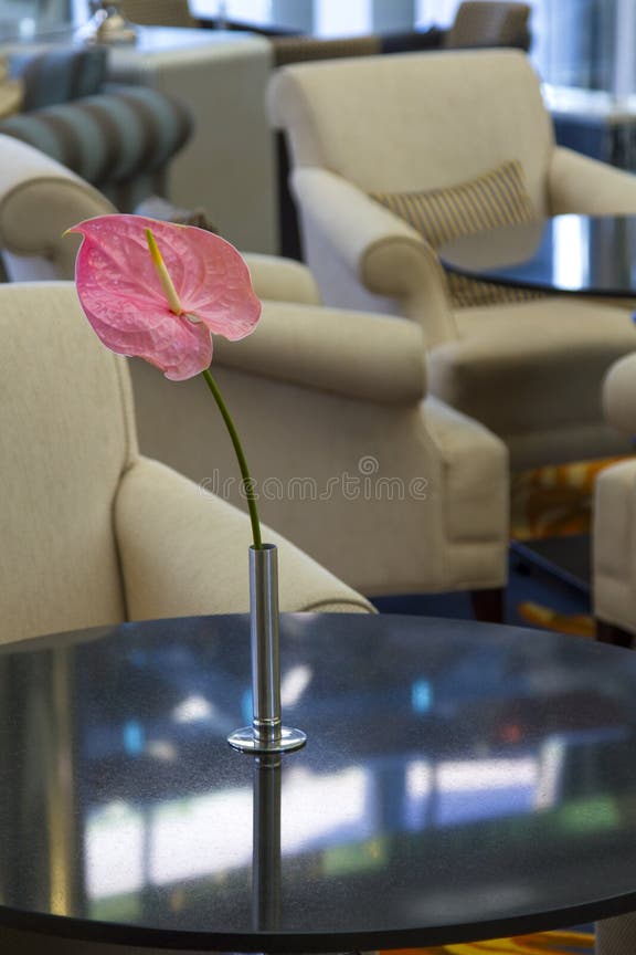 Pink flower in a vase stock image. Image of hall, table - 31258131