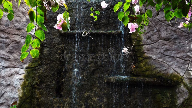 Waterfall Pink Rocky Pools and Tropical Colombia Stock Video - Video of ...