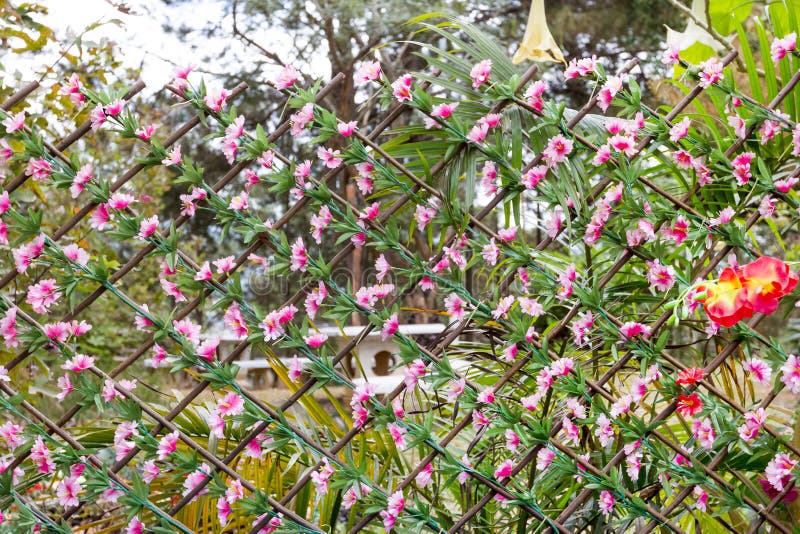 Flower Box at Lattice Window Stock Photo - Image of lattice, green ...