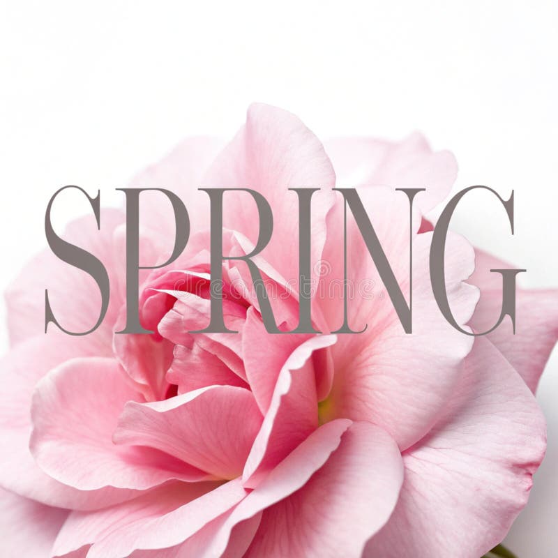 Word Spring Stock Illustrations – 30,798 Word Spring Stock ...