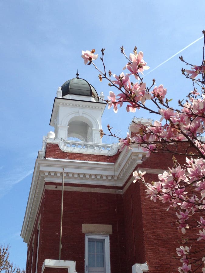 Pink Flowering Tree and Dome Stock Image - Image of architecture ...