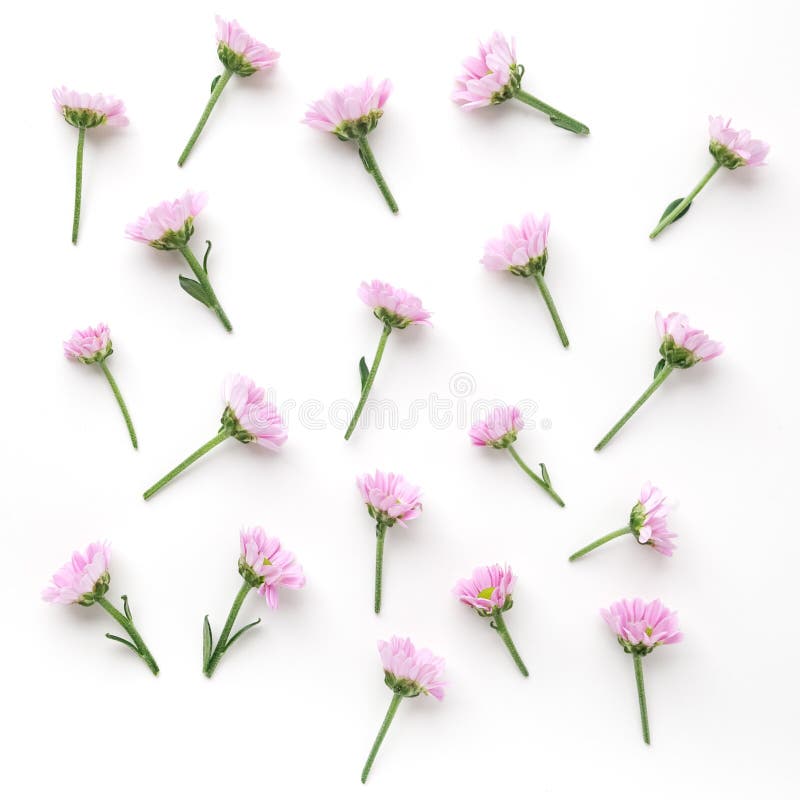 Pink Flowers Background. Flat Lay Stock Image - Image of vintage, love ...