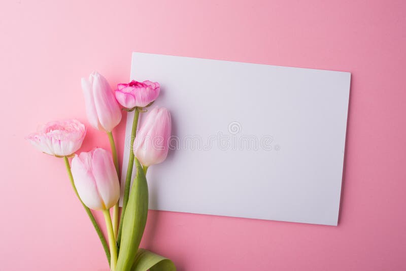 Spring Flat Lay Composition with Lettering, Pink Background with ...