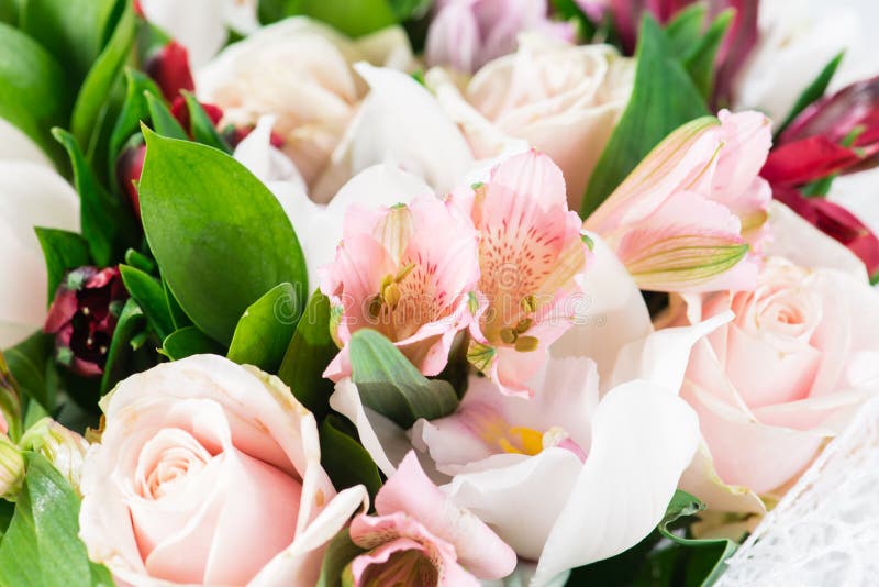 Pink Flowers in a Bouquet Close-up Stock Photo - Image of purple, green ...