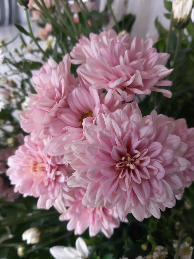Pink Flowers Dosing at a Wedding Venue Stock Photo - Image of party ...