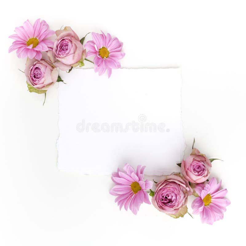 Pink Flowers Frame with Space for Text. Flat Lay. Top View Stock Image ...