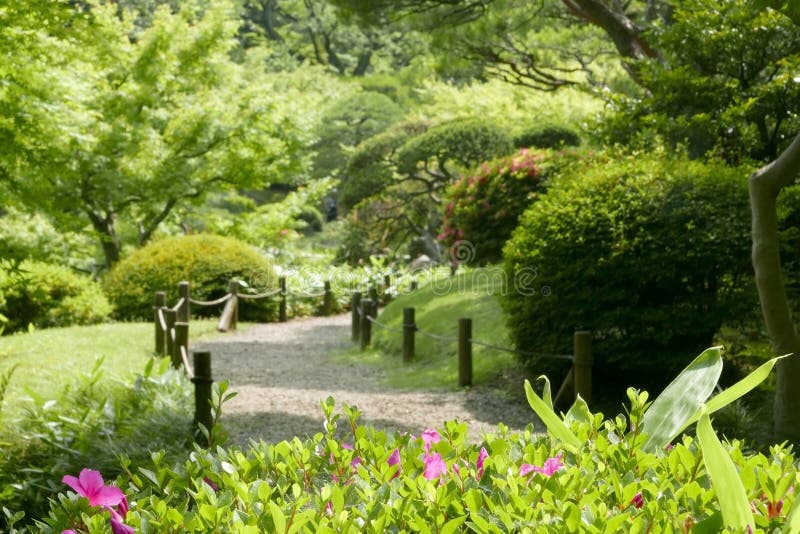 Pink Flowers, Green Plants, Tree, Footpath in Zen Park Stock Photo ...